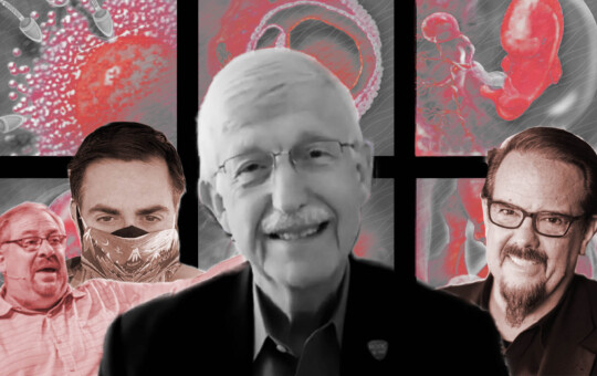 David Morrill, Author at Protestia